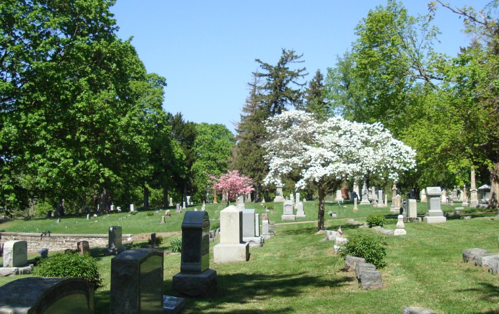 Donations | Mount Olivet Cemetery Association